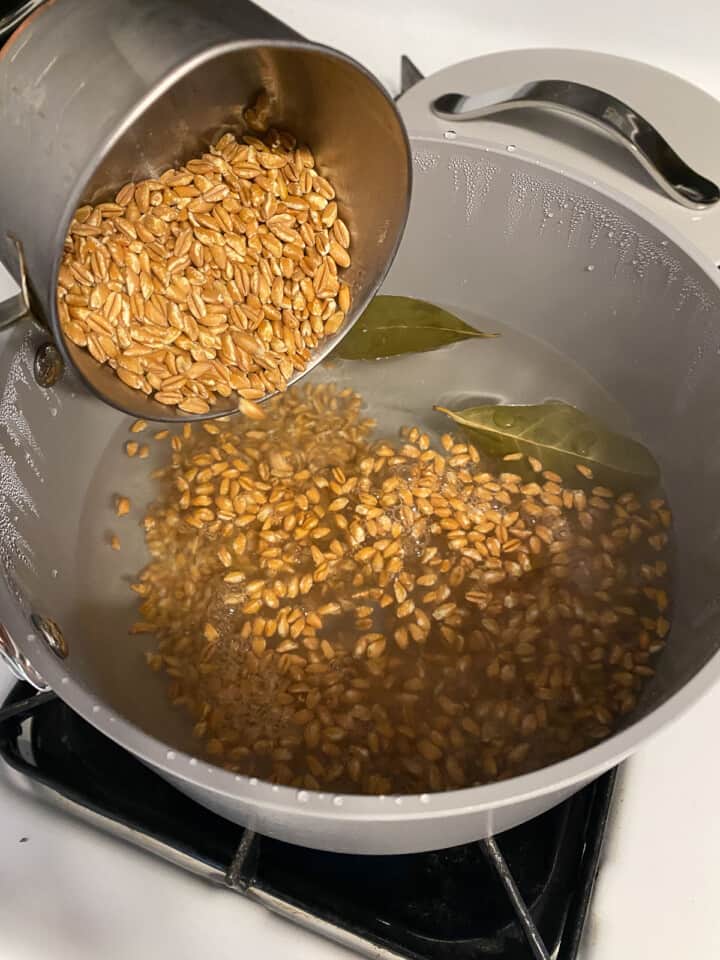 Easy Farro Recipe with Roasted Vegetables - Plant-Based on a Budget