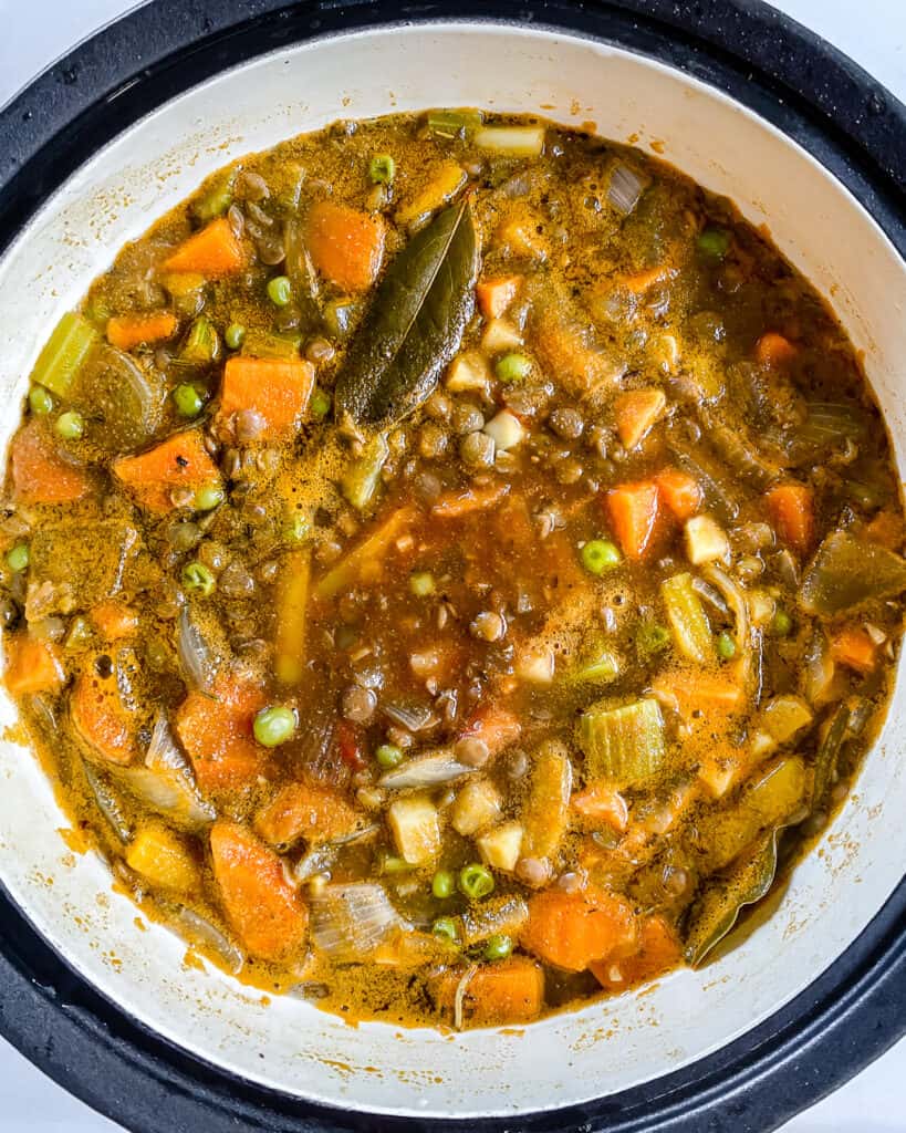 Root Vegetable Lentil Stew - Plant-Based on a Budget