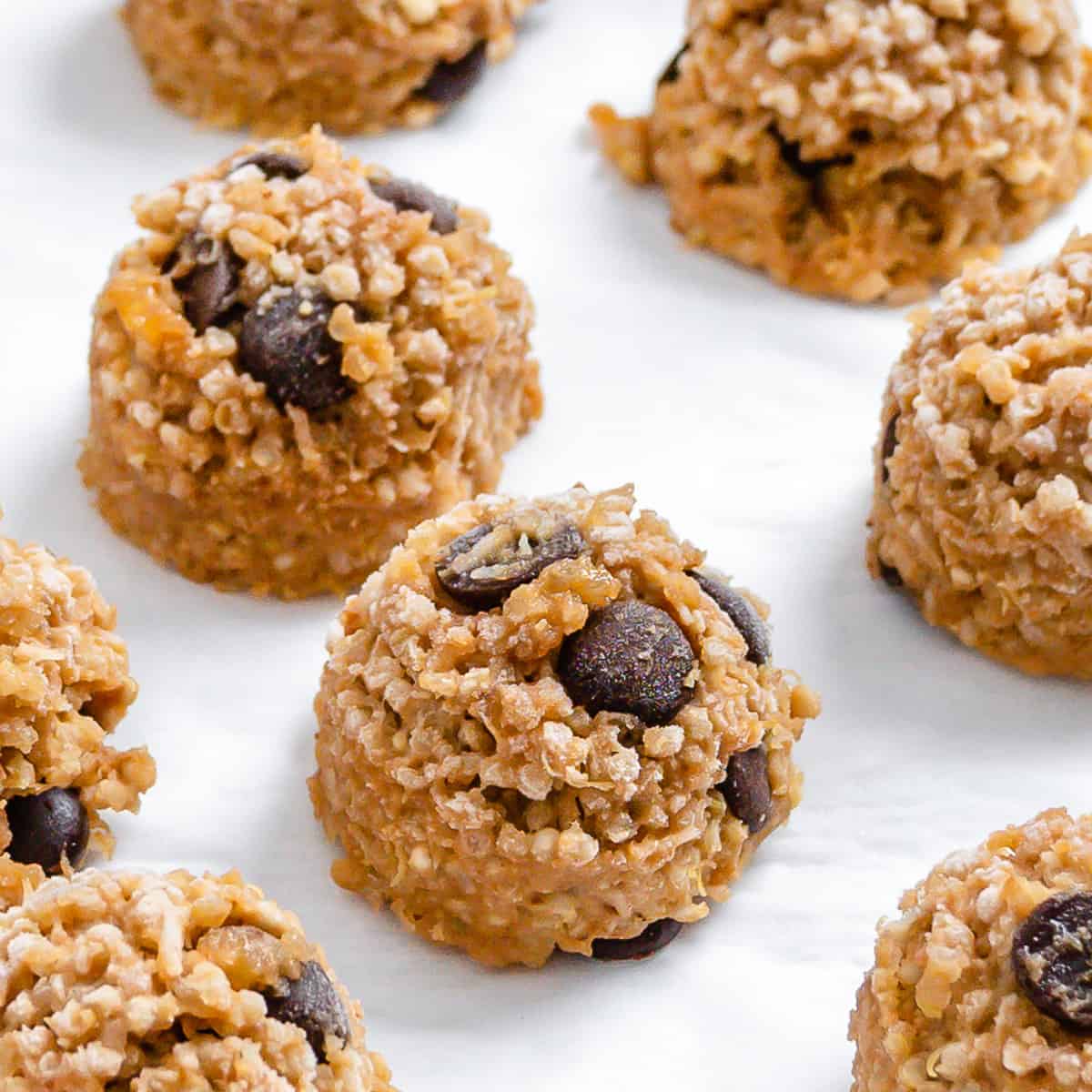 Vegan Chocolate Chip Quinoa Cookies - Plant-Based on a Budget