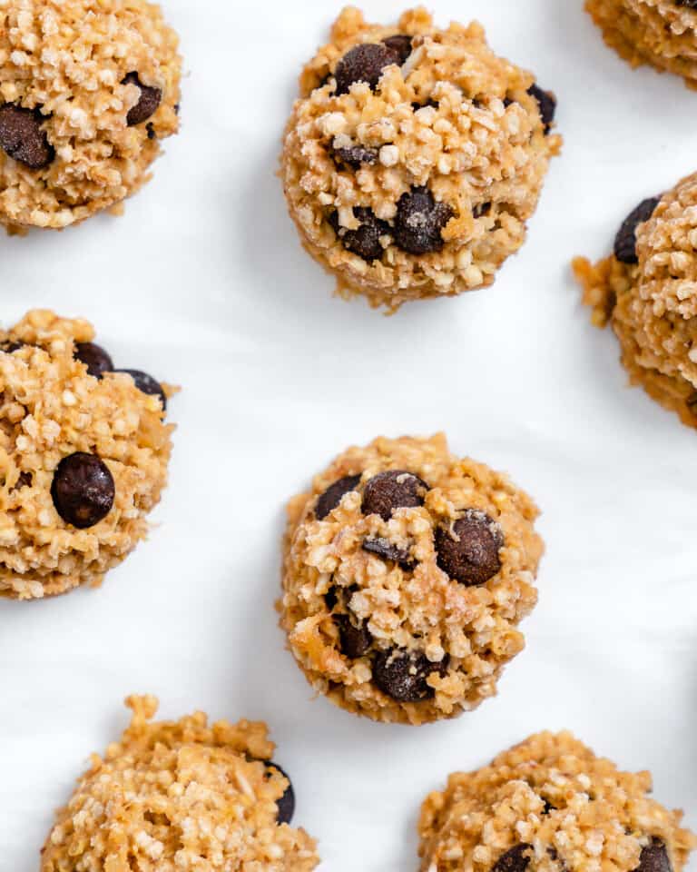 Vegan Chocolate Chip Quinoa Cookies - Plant-Based on a Budget