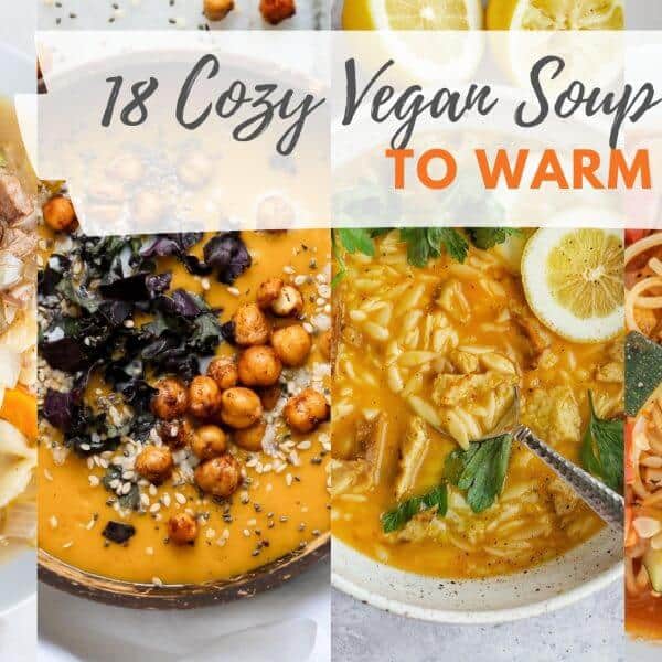 Vegan Dinners | Plant-Based on a Budget