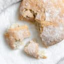 The Easiest No Knead Bread - Plant-Based on a Budget