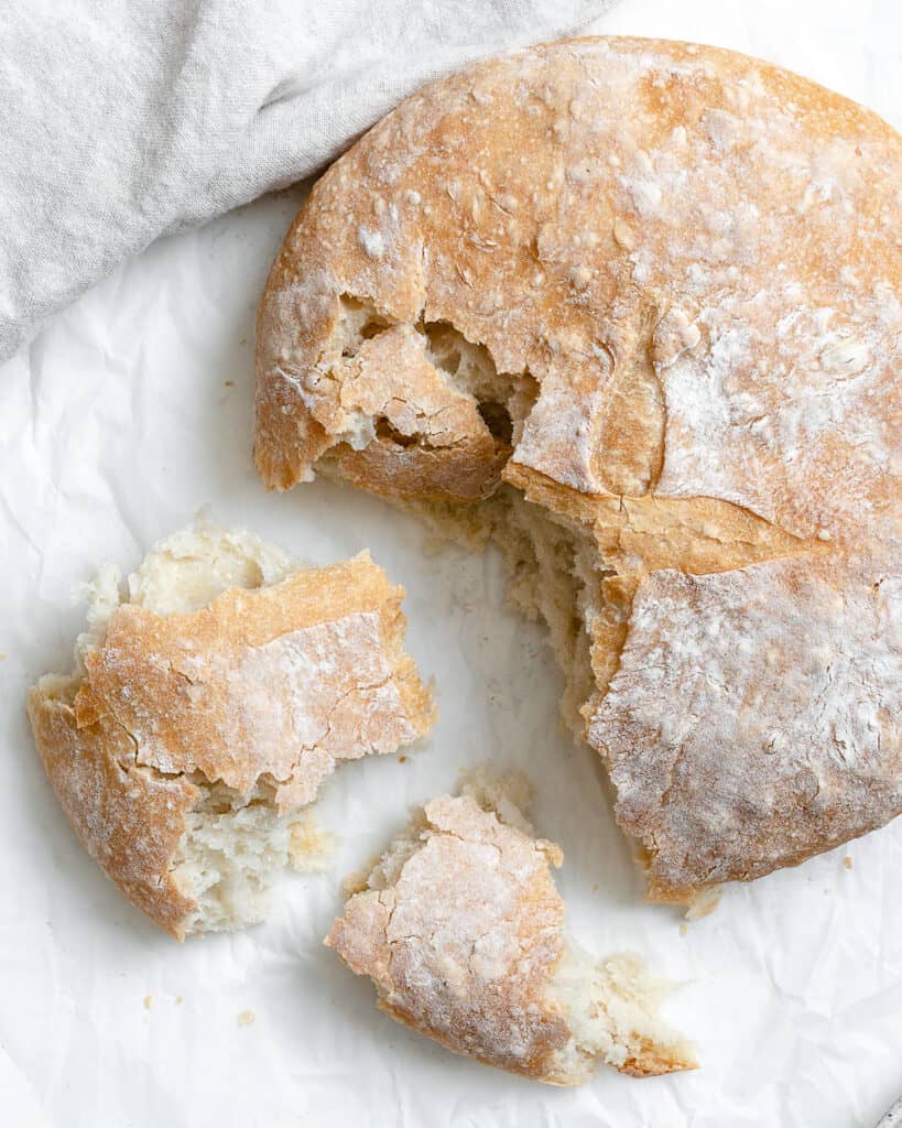 The Easiest No Knead Bread - Plant-Based on a Budget