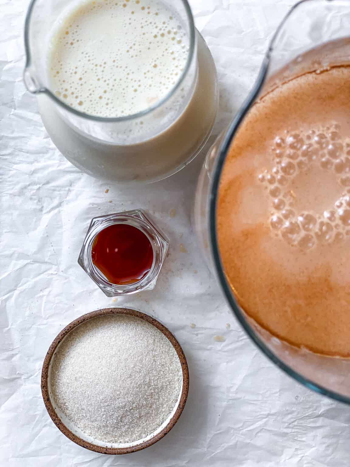 Vegan Horchata Recipe - Plant-Based on a Budget