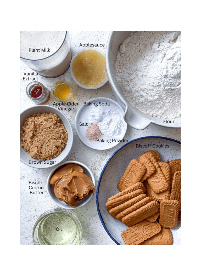 Vegan Biscoff Cake - Plant-Based on a Budget
