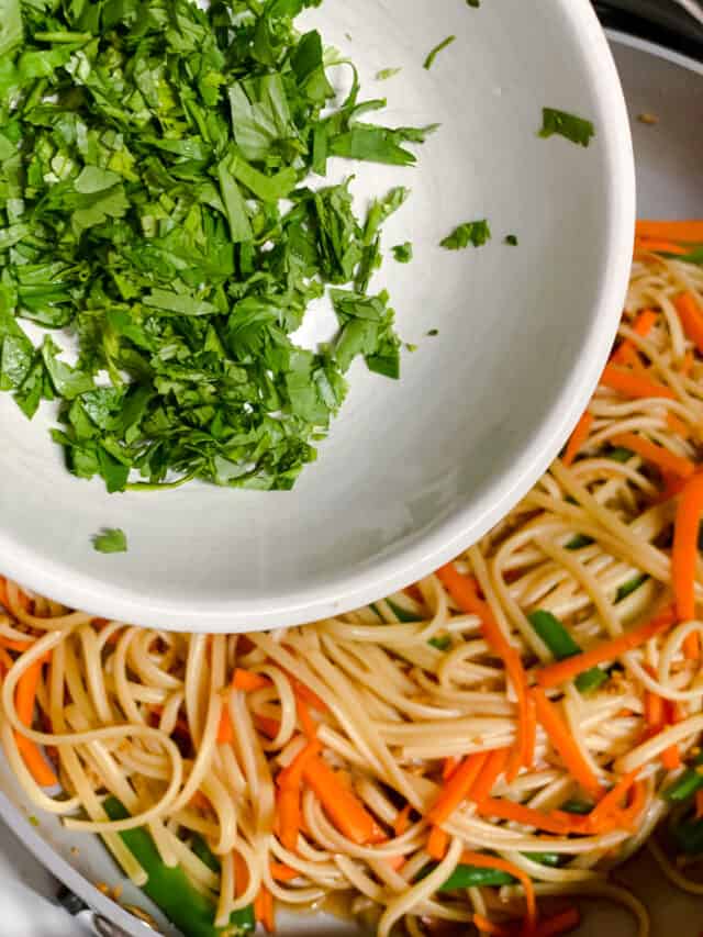 Easy Teriyaki Noodles - Plant-Based on a Budget
