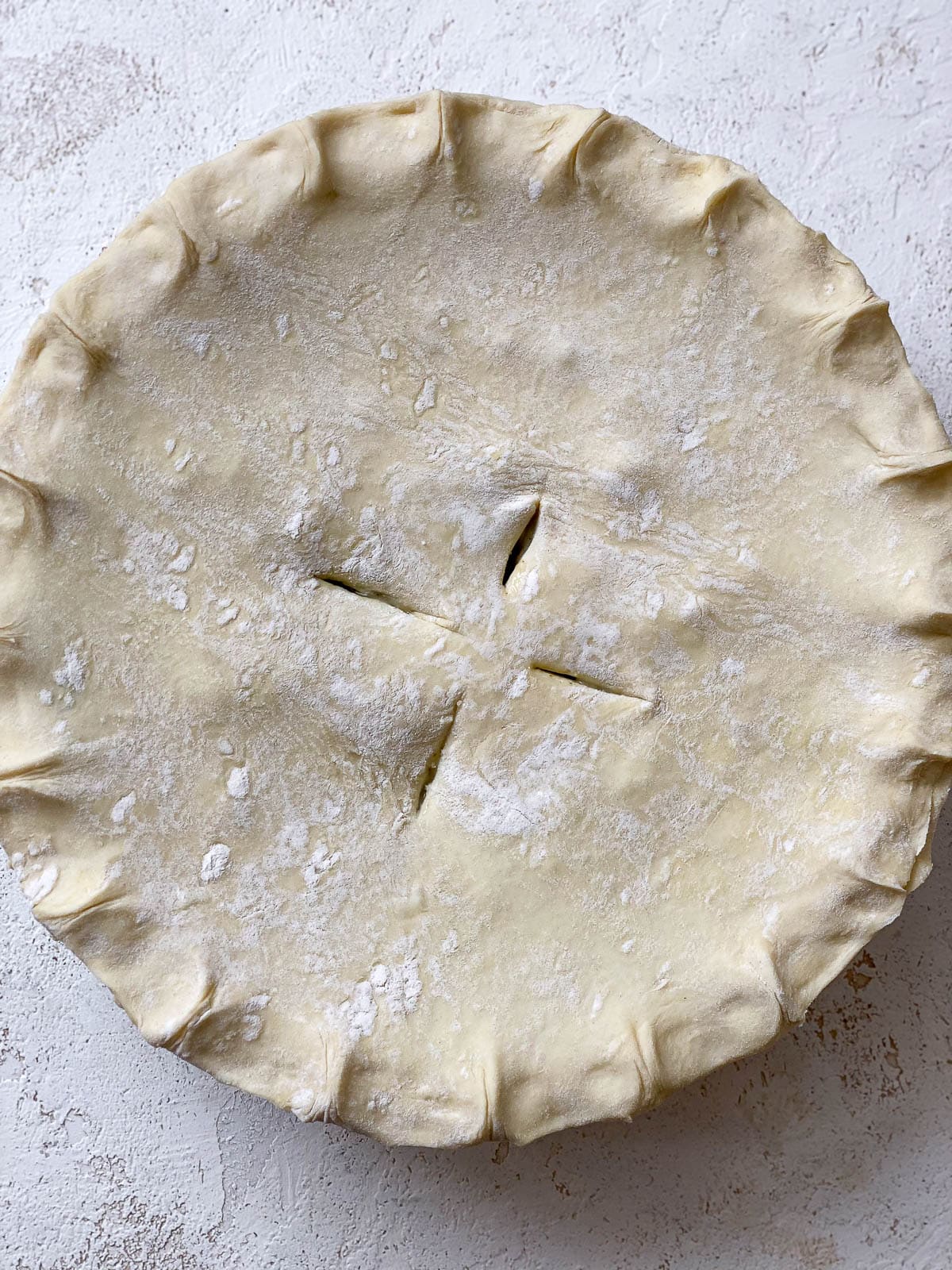 Mixed Vegetable Vegan Pot Pie - Plant-Based on a Budget