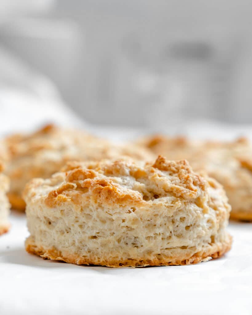 Quick and Easy Vegan Biscuits - Plant-Based on a Budget