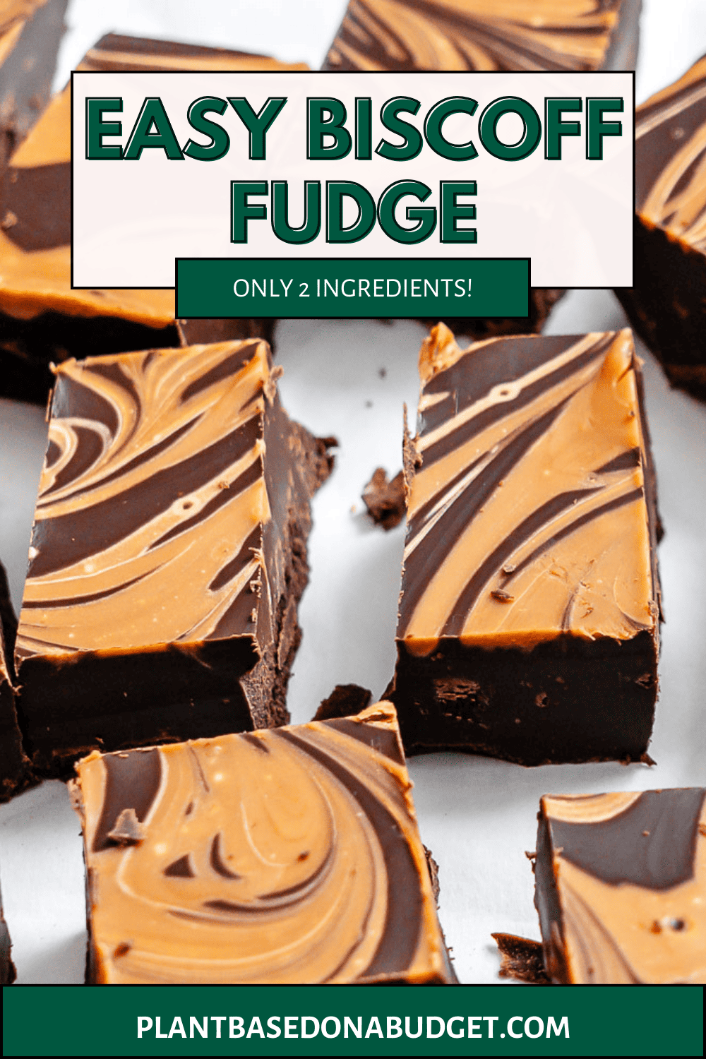 Easy Biscoff Fudge [2-Ingredient] - Plant-Based on a Budget