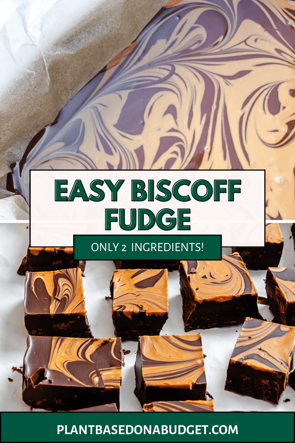 Easy Biscoff Fudge [2-Ingredient] - Plant-Based on a Budget