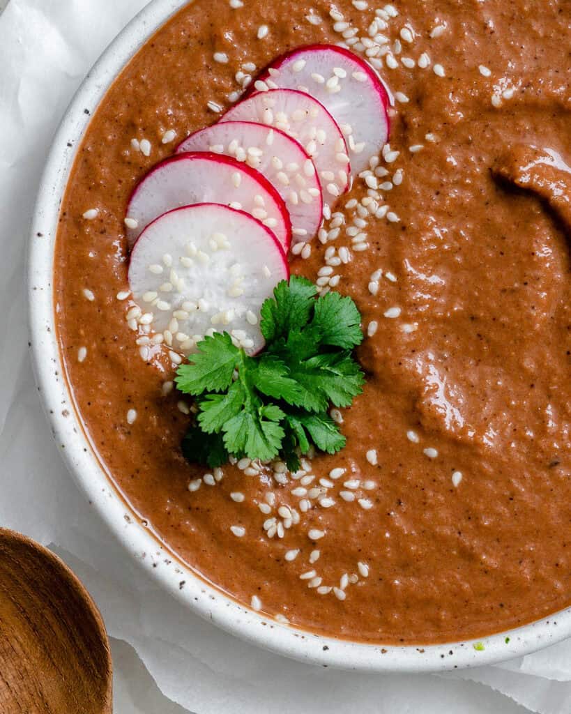 Vegan Mole Sauce - Plant-Based on a Budget