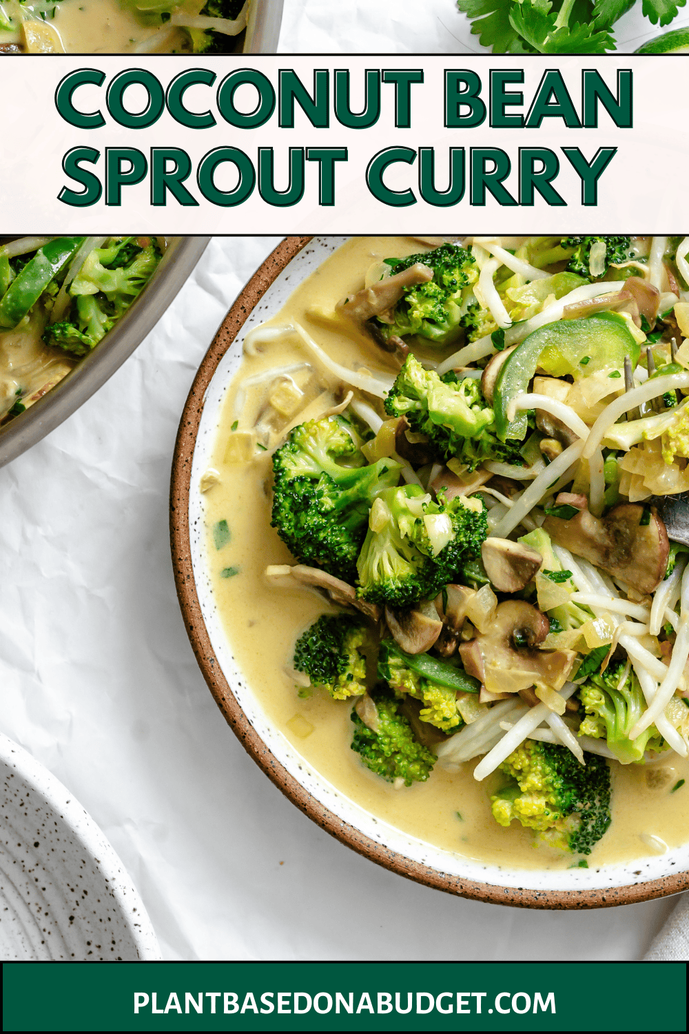 Bean Sprouts Curry - Plant-Based on a Budget