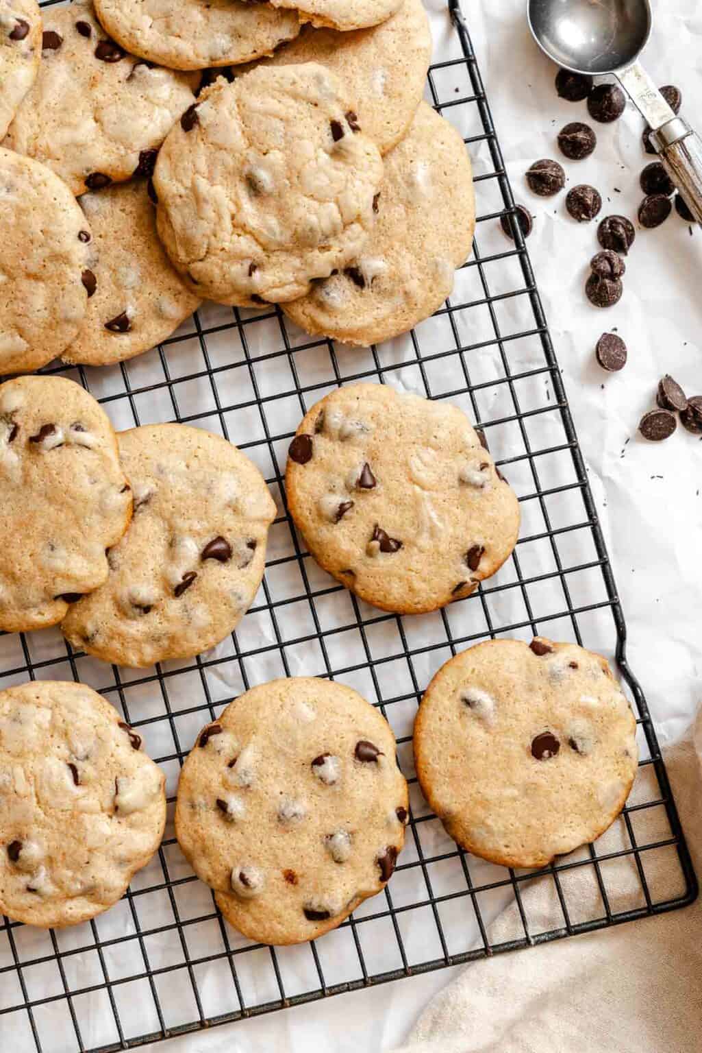 Soft Chewy Cinnamon Chocolate Chip Cookies - Plant-Based on a Budget
